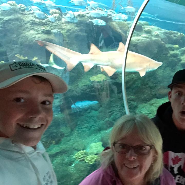 Dylon Harryman - @dylonharryman03 TikTok Analytics | Profile, videos ...