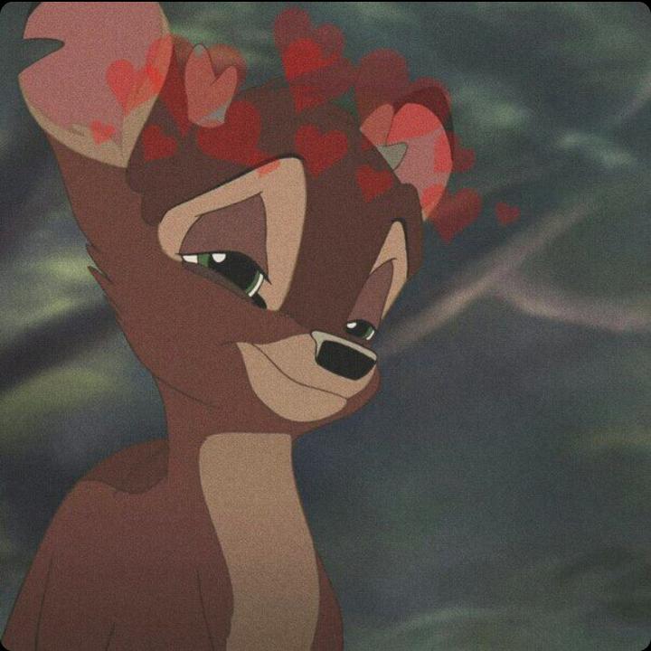 🔥🔥🔥 - @beembi TikTok Analytics | Profile, videos & hashtags | Exolyt