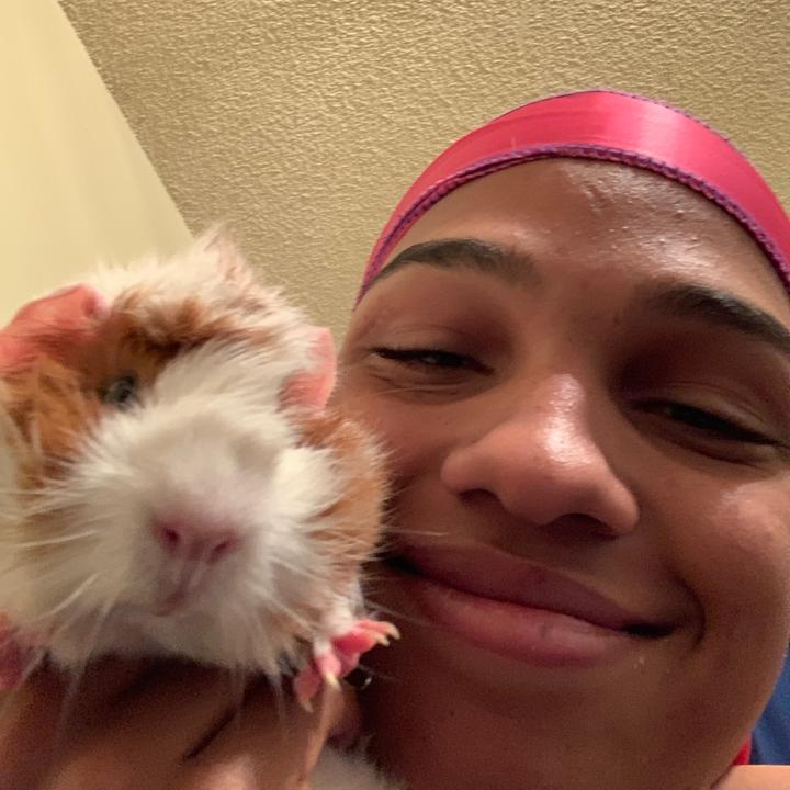 Dacious Hunter - @kingcheetoz TikTok Analytics | Profile, videos ...