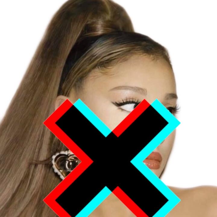 🤬🖕 - @i_hate_ariana_grande_ TikTok Analytics | Profile, videos & hashtags | Exolyt