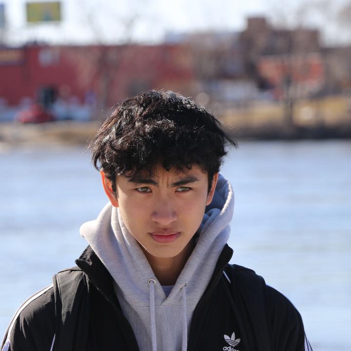 Lucas Huard - @lucasinlife TikTok Analytics | Profile, videos ...