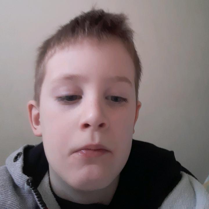 Riley gamer - @rileyalfie13 TikTok Analytics | Profile, videos ...