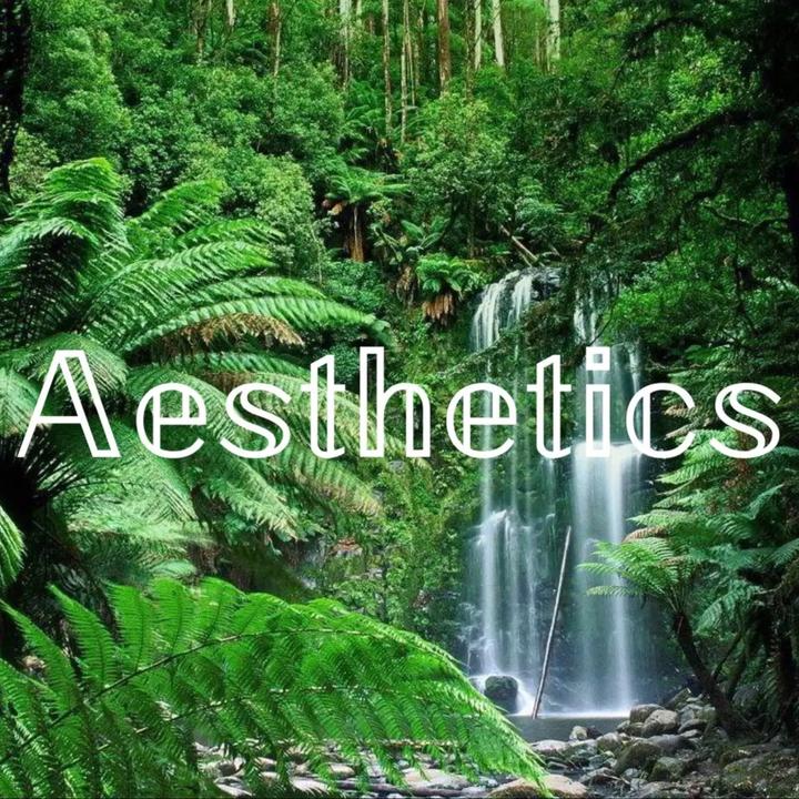 𝔸𝕖𝕤𝕥𝕙𝕖𝕥𝕚𝕔𝕤 - @.....rainforest TikTok Analytics | Profile, videos ...