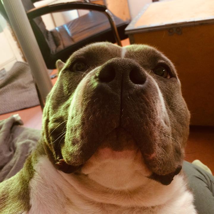 🌻C h a d e e🌻 - @chadee.is.my.name TikTok Analytics | Profile, videos ...