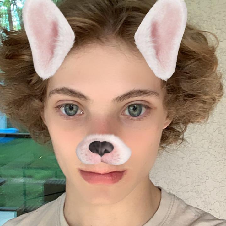 jack - @jack.beckner TikTok Analytics | Profile, videos & hashtags | Exolyt