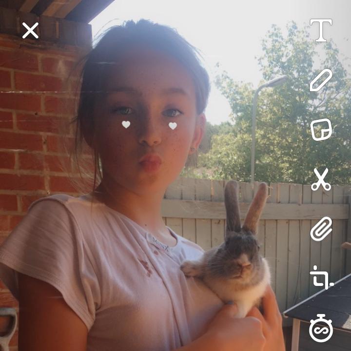 Freya may Moore ️- @freyamayxoxo TikTok 分析|プロフィール、動画、ハッシュタグ | Exolyt