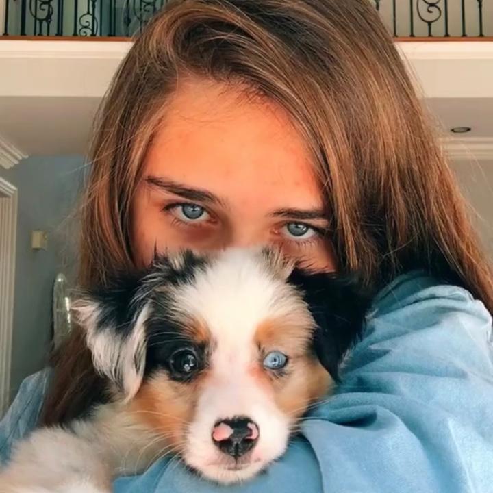 Aaliyah 🤠 - @aaliyah.quint TikTok Analytics | Profile, videos ...